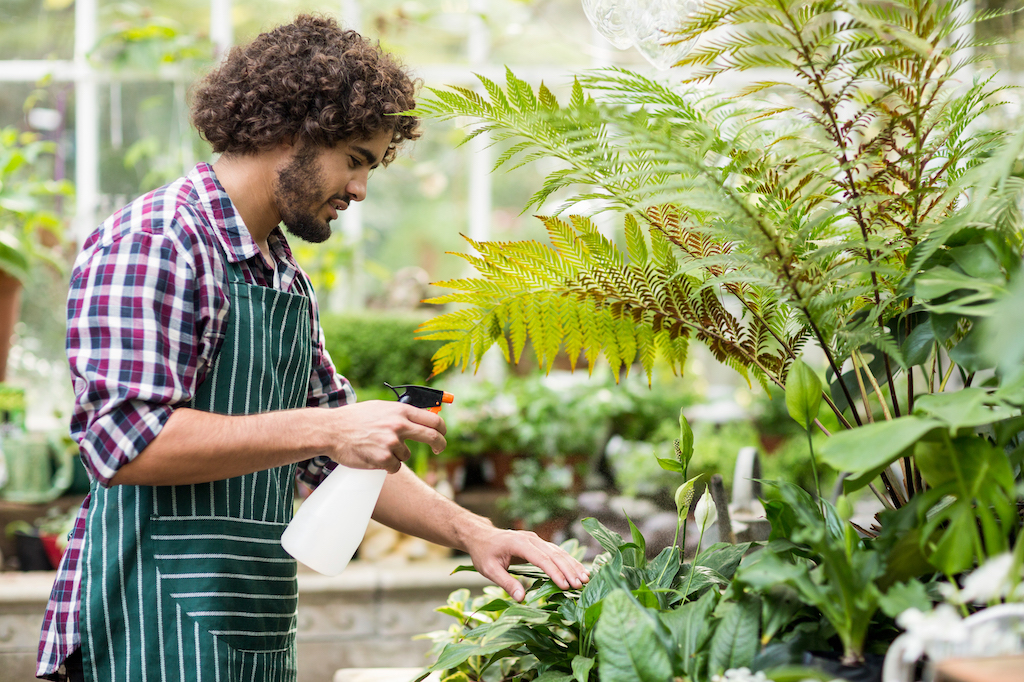How Plants Help The Environment Golden Arrow Packaging Innovation How Plants Help The Environment Golden Arrow Packaging Innovation